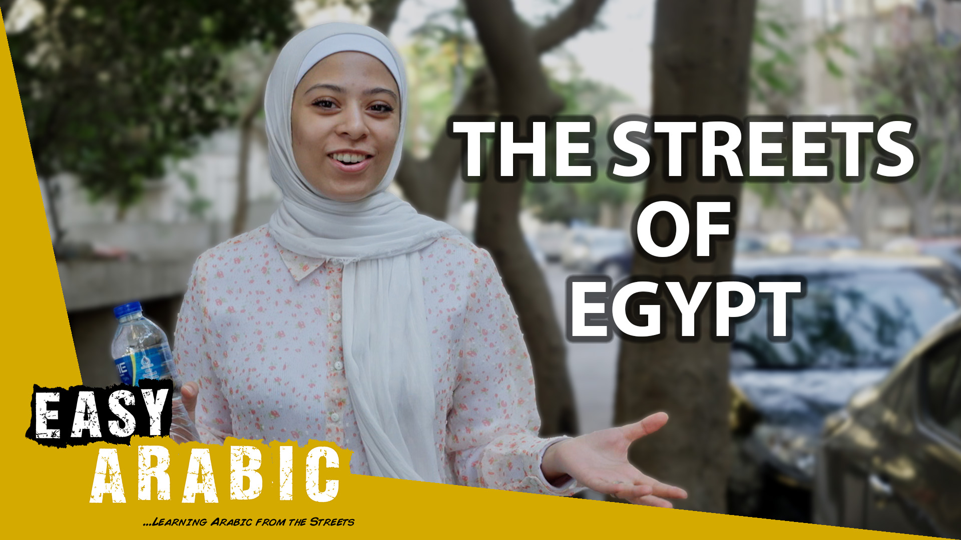 Easy Arabic Membership